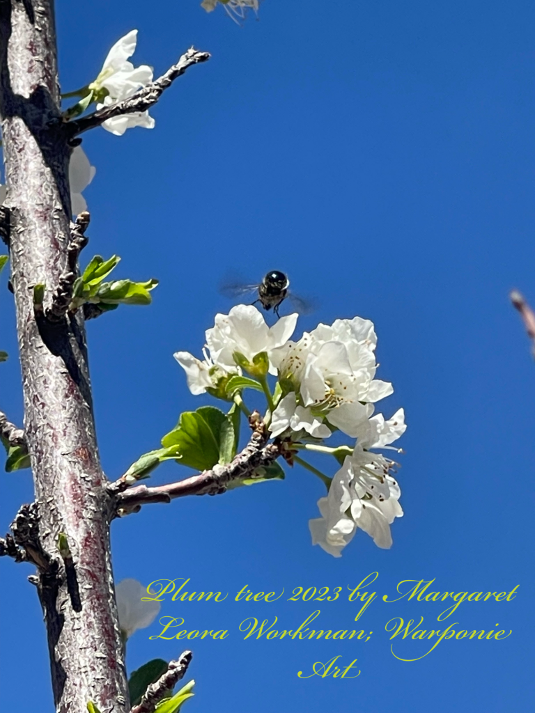 Plum tree 2023 by Margaret Leora Workman; Warponie Art – Industrial ...